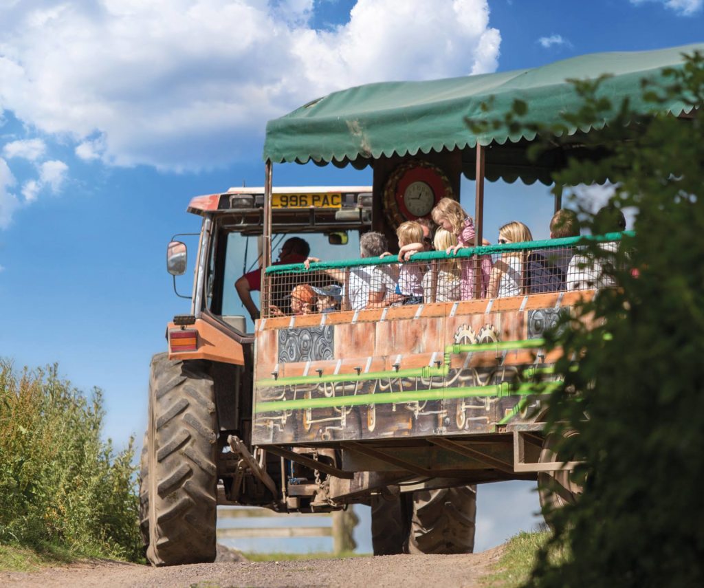 Family and Kids Day Out in Warwickshire | Hatton Adventure World