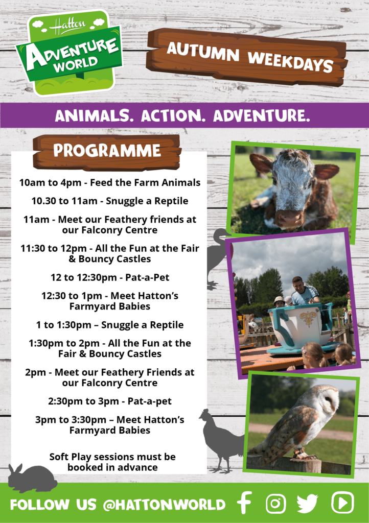 Whats On Now | Hatton Adventure World