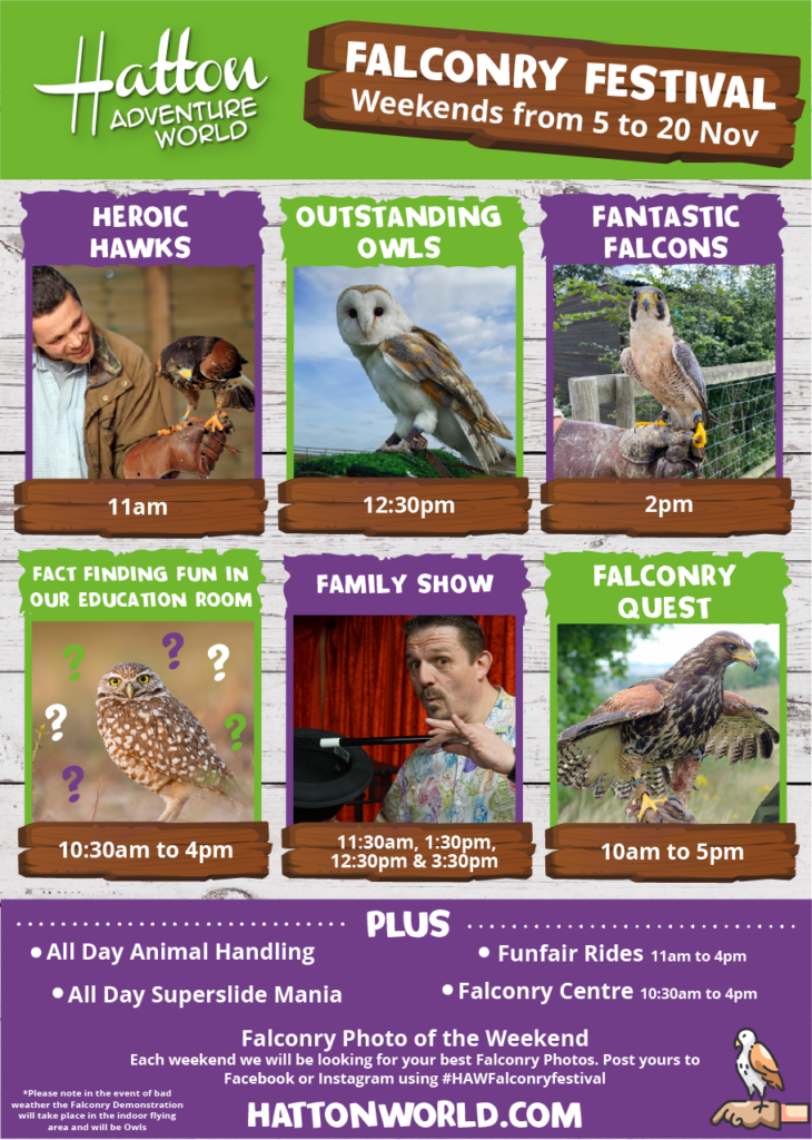 Whats On Now | Hatton Adventure World