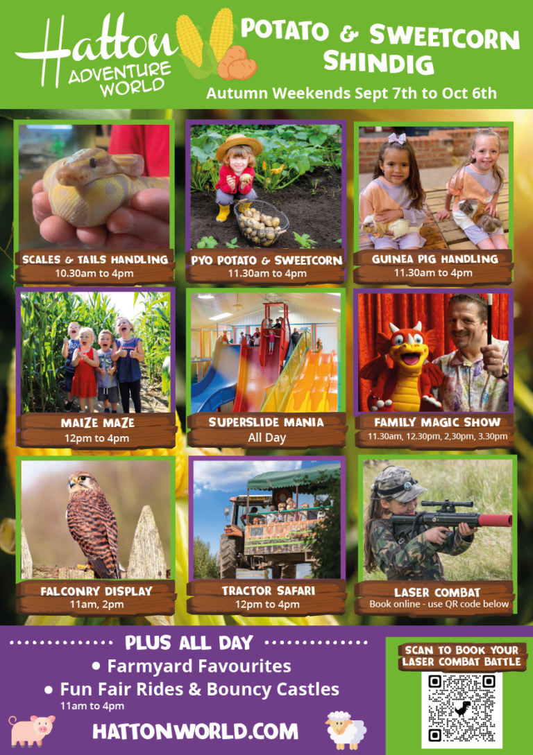 Whats On Now | Hatton Adventure World