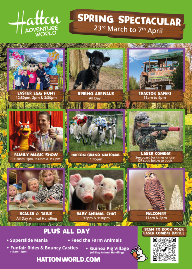 Whats On Now | Hatton Adventure World