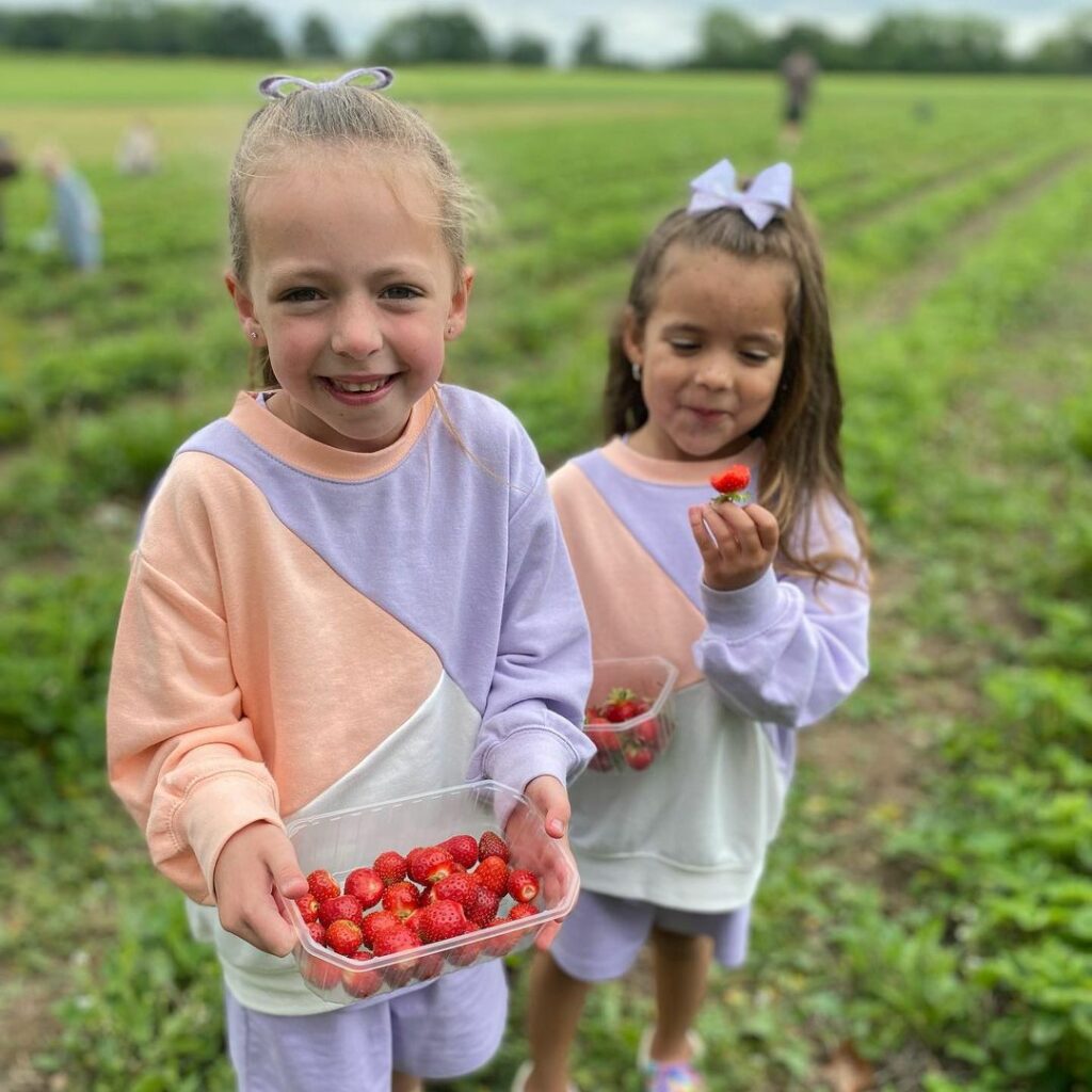 Family and Kids Day Out in Warwickshire | Hatton Adventure World