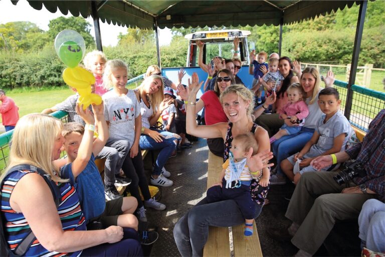 Children Adventure Farm Park in Warwickshire | Adventure World