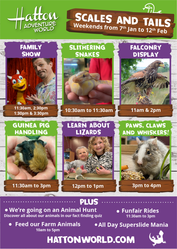 Whats On Now | Hatton Adventure World