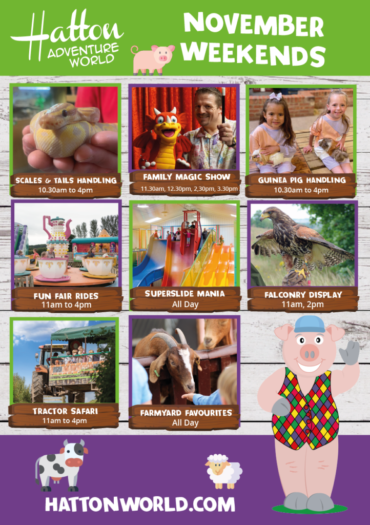 Whats On Now | Hatton Adventure World