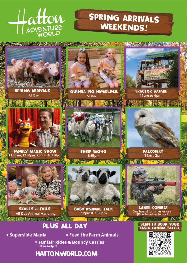 Whats On Now | Hatton Adventure World