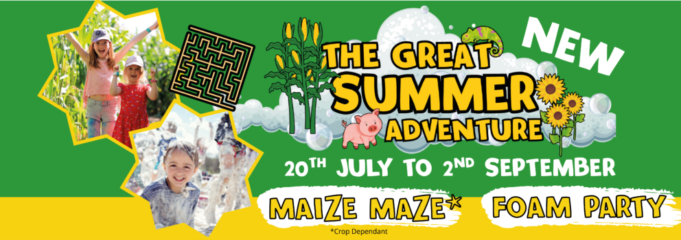 Family and Kids Day Out in Warwickshire | Hatton Adventure World