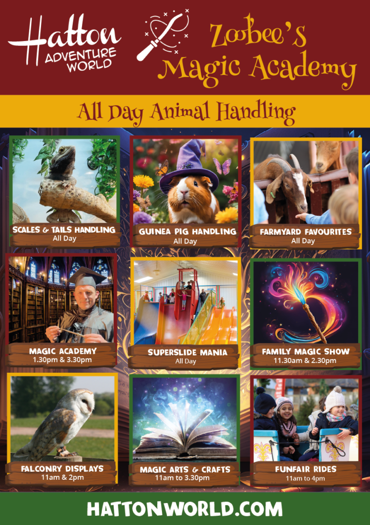 Whats On Now | Hatton Adventure World