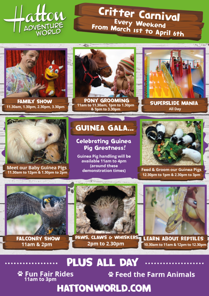 Whats On Now | Hatton Adventure World