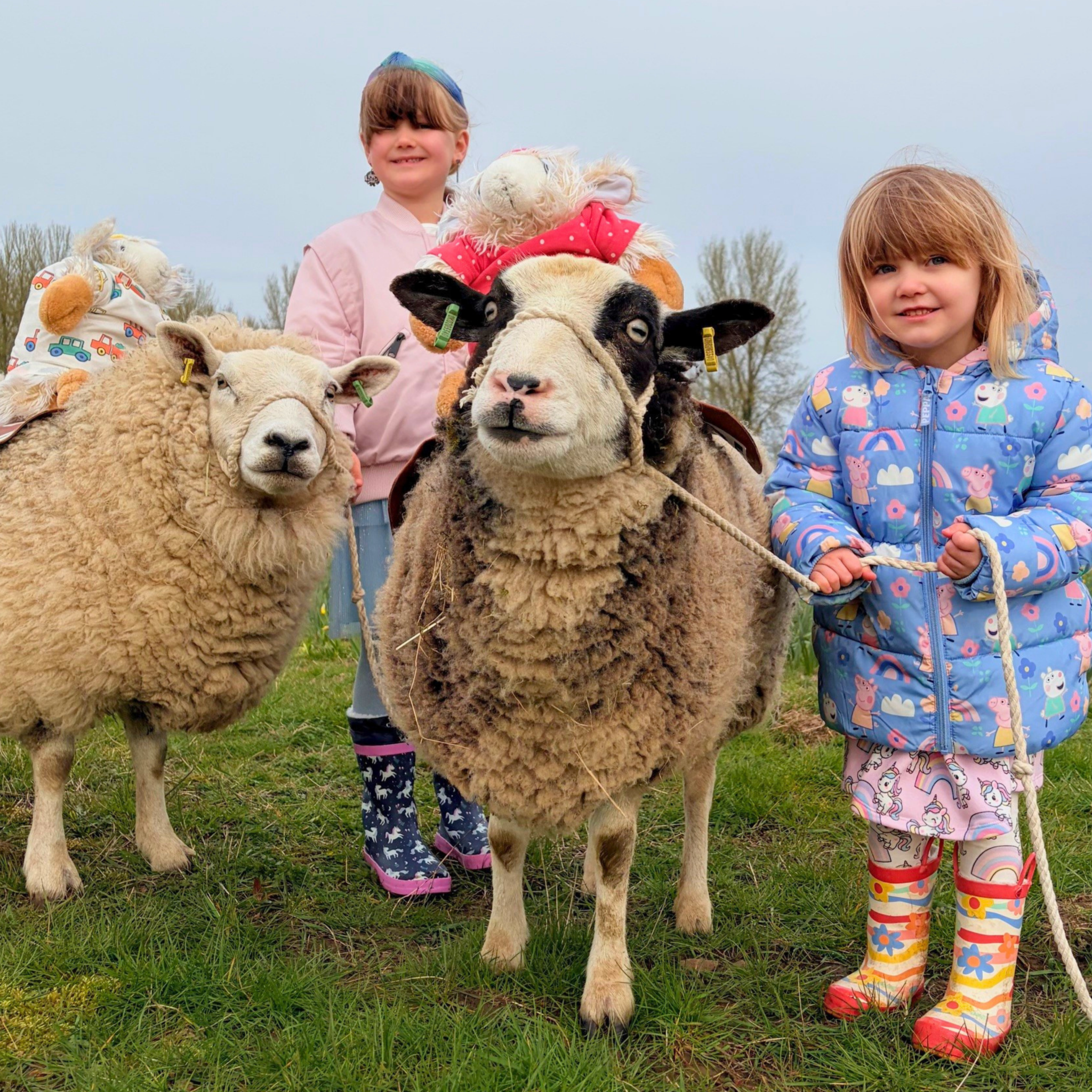 Animal Experiences | Hatton Adventure World